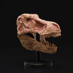 Realistic T-rex Skull Replica: 3D Printed, Hand-painted Dinosaur Model ...