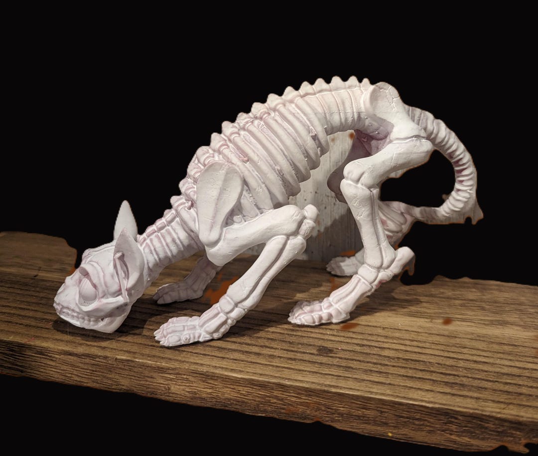 3D Printed Feline Skeleton Model: Large Cat Bone Replica for Halloween ...