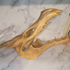 Replica Dragon Skull 3D Print - Etsy
