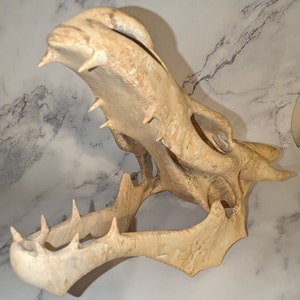 Replica Dragon Skull 3D Print - Etsy