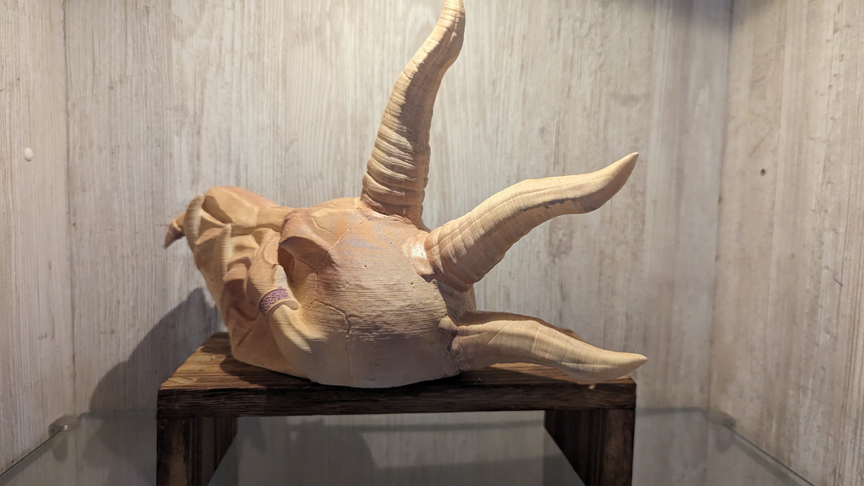 Gothic 3D Printed Dragon Skull Decor | Fantasy Creature Replica ...