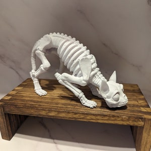 3D Printed Feline Skeleton Model: Large Cat Bone Replica for Halloween ...