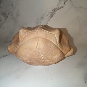 Venusaur Skull 3D Print - Etsy