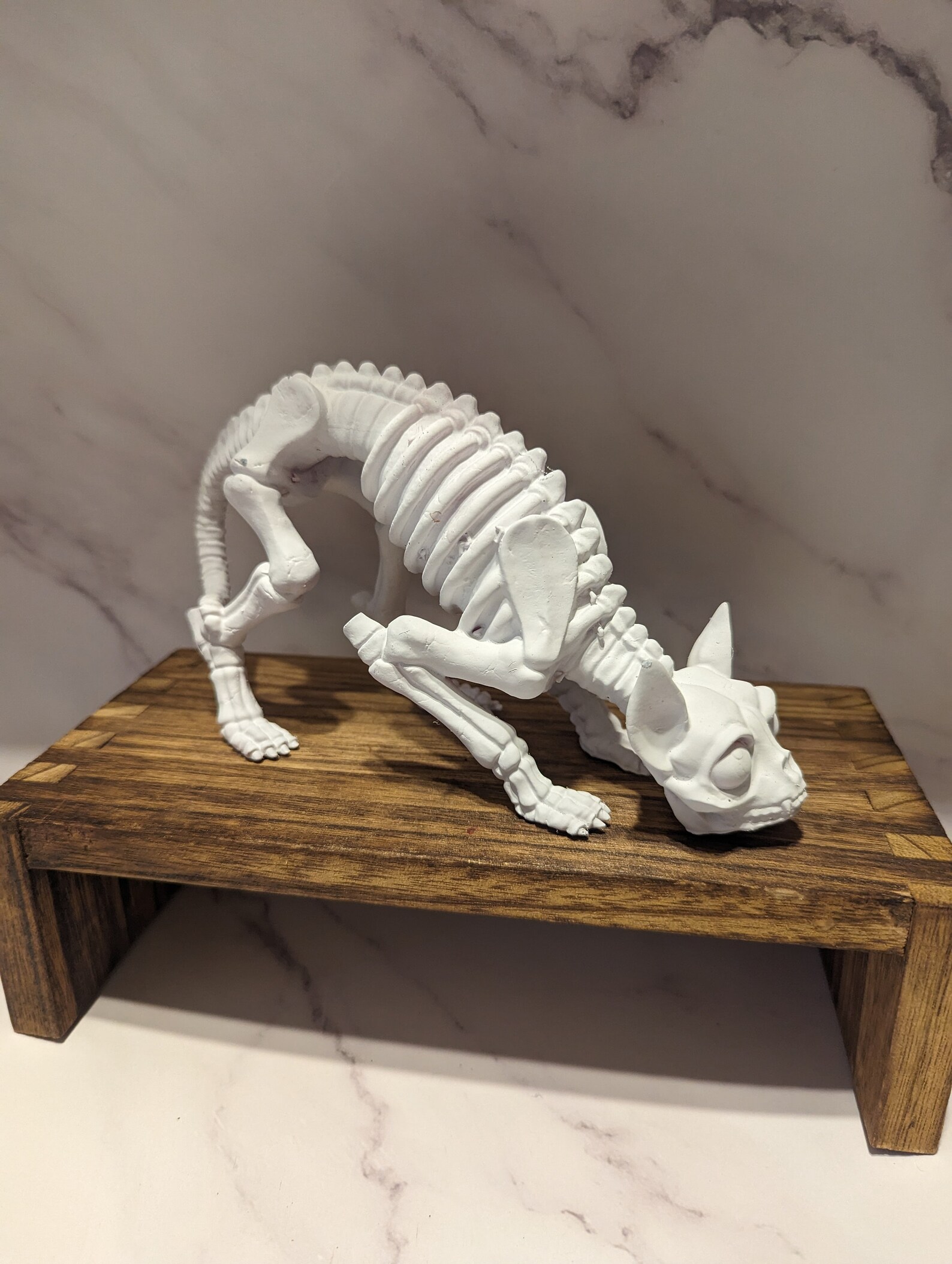 3D Printed Feline Skeleton Model: Large Cat Bone Replica for Halloween ...
