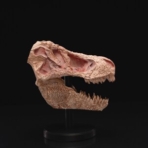 Realistic T-rex Skull Replica: 3D Printed, Hand-painted Dinosaur Model ...