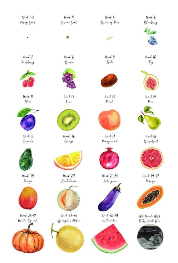 Fetal Growth Chart Fruit