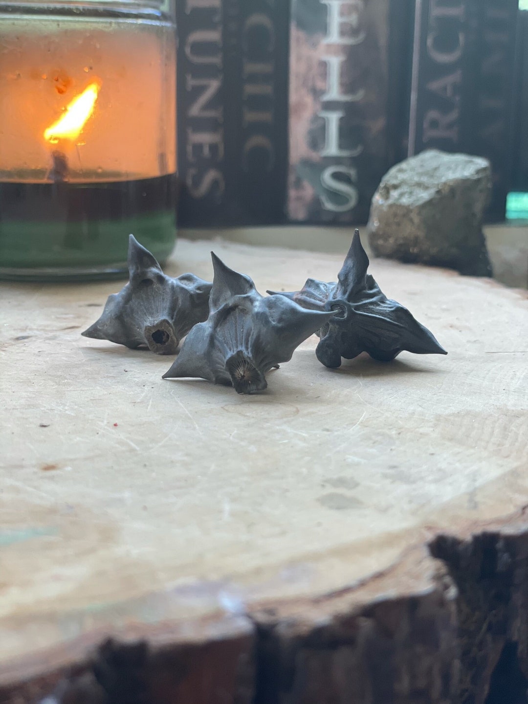 Devil Pods (bat Nuts) - Etsy