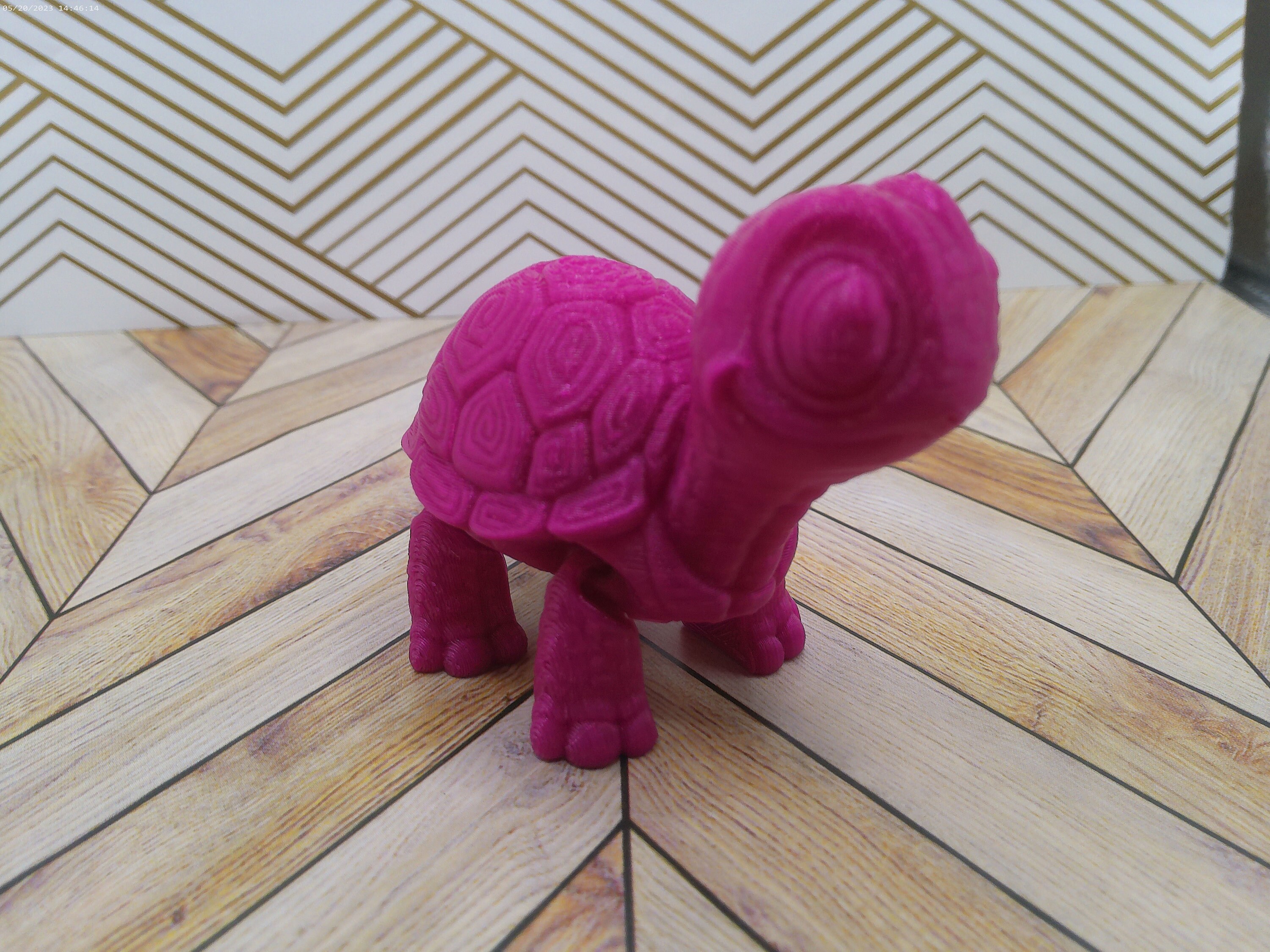 3d Printed Articulated Toonz Turtle/tortoise Standing/laying - Etsy