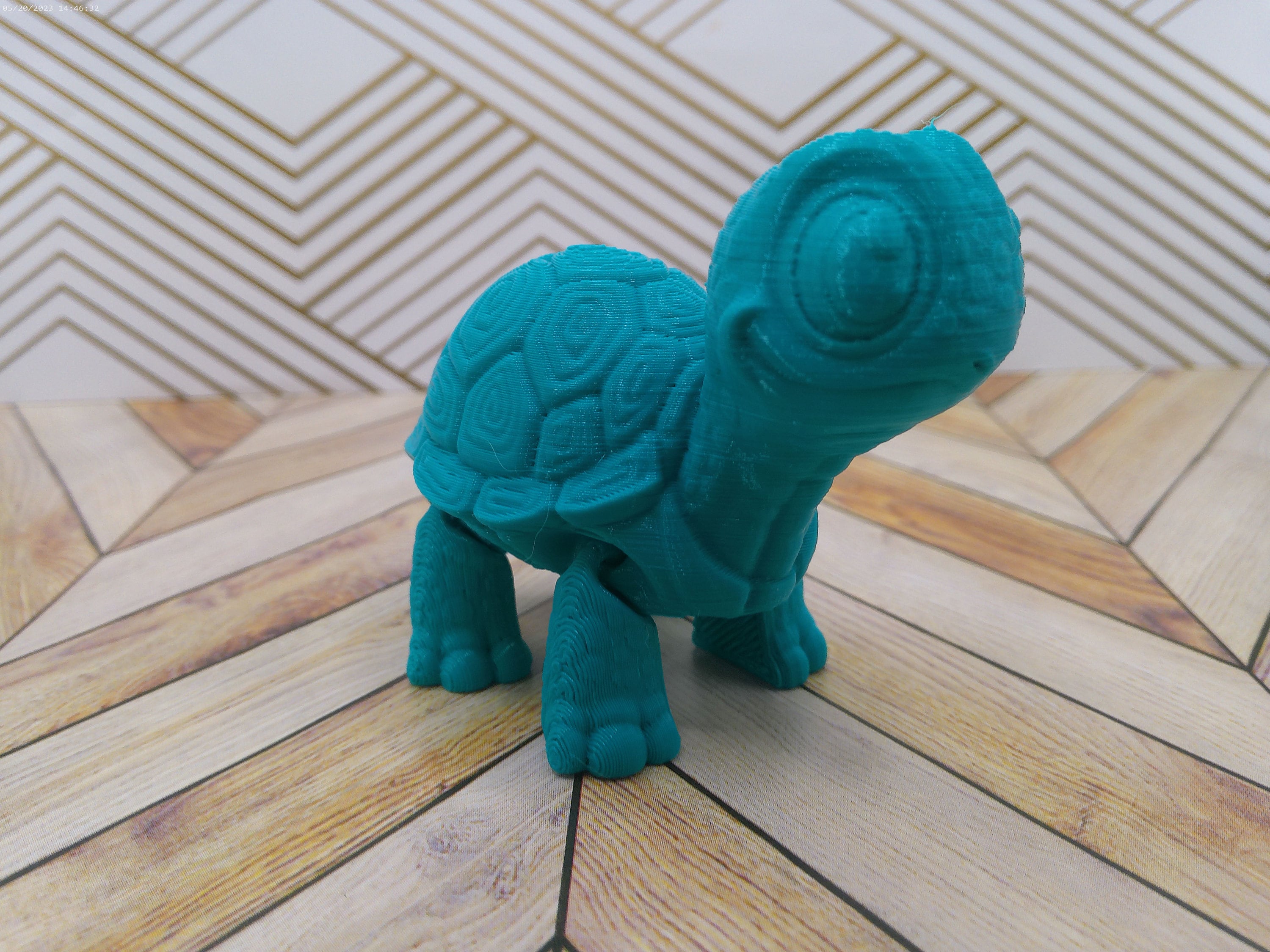 3d Printed Articulated Toonz Turtle/tortoise Standing/laying - Etsy