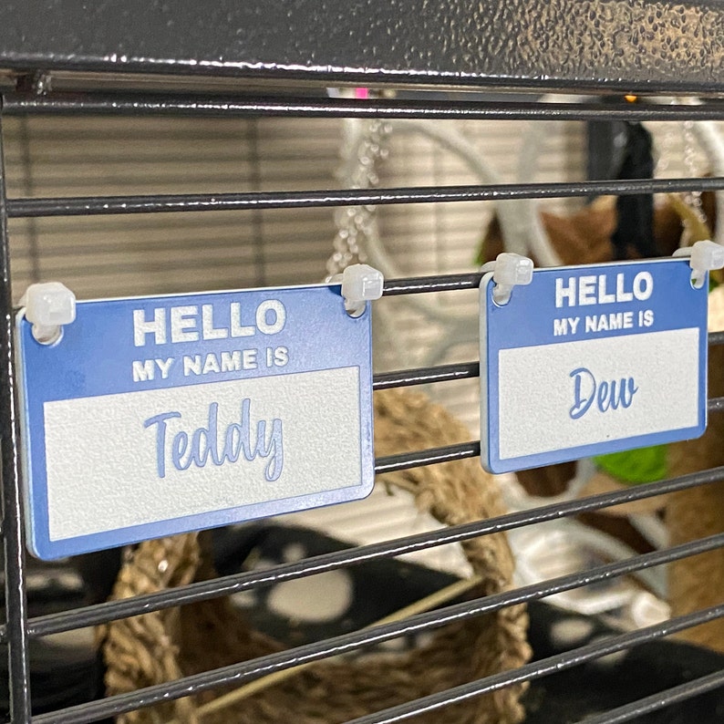 Personalized Bird Cage Name Tags, Custom Name Tags for Bird Cages, Bird ...