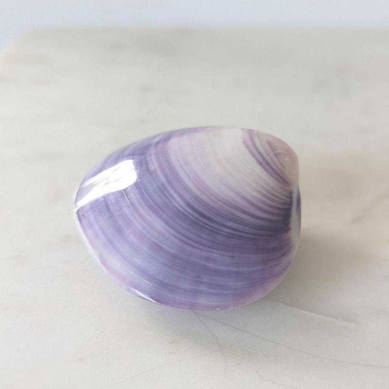 CurioFoundation - Etsy UK