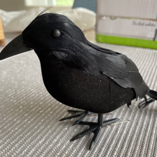 Raven Party Decorations - Etsy