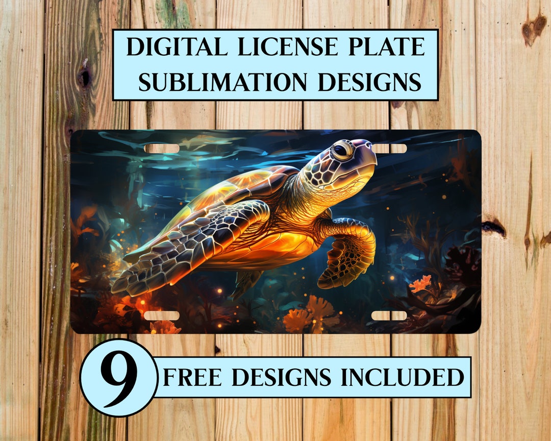 Sea Turtle PNG, Tortoise License Plate Design, Sea Turtle License Plate ...