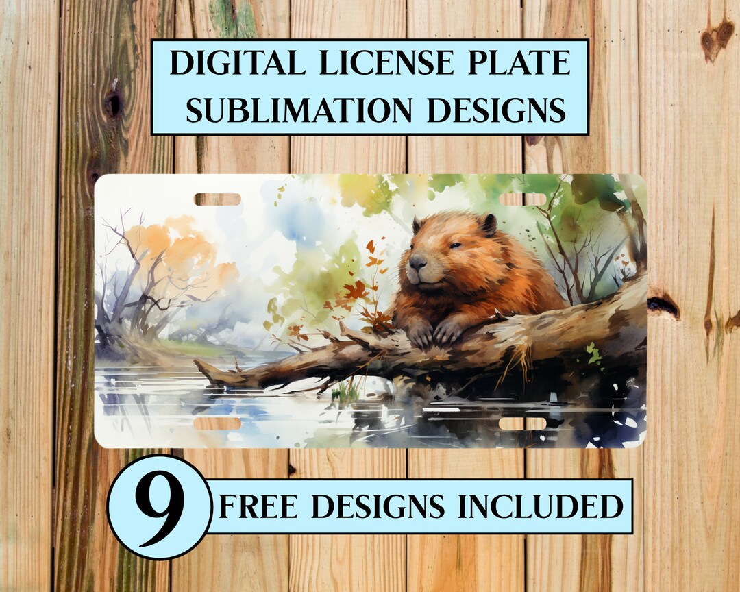 Watercolor Capybara Png, Capybara Art License Plate Design, Capybara ...