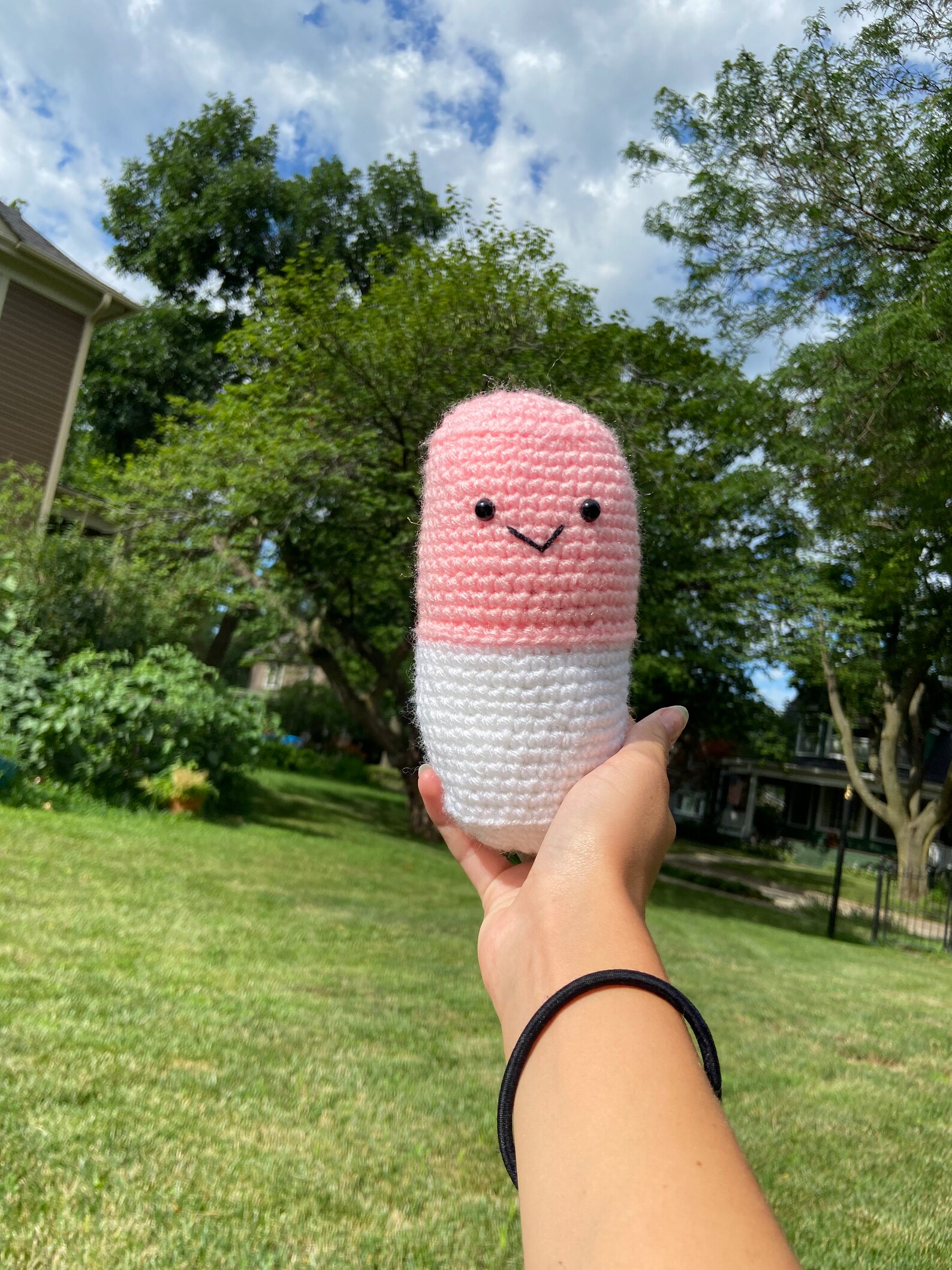 Crochet Chill Pill Digital Pattern, Crochet Chill Pill Plush, Crochet ...