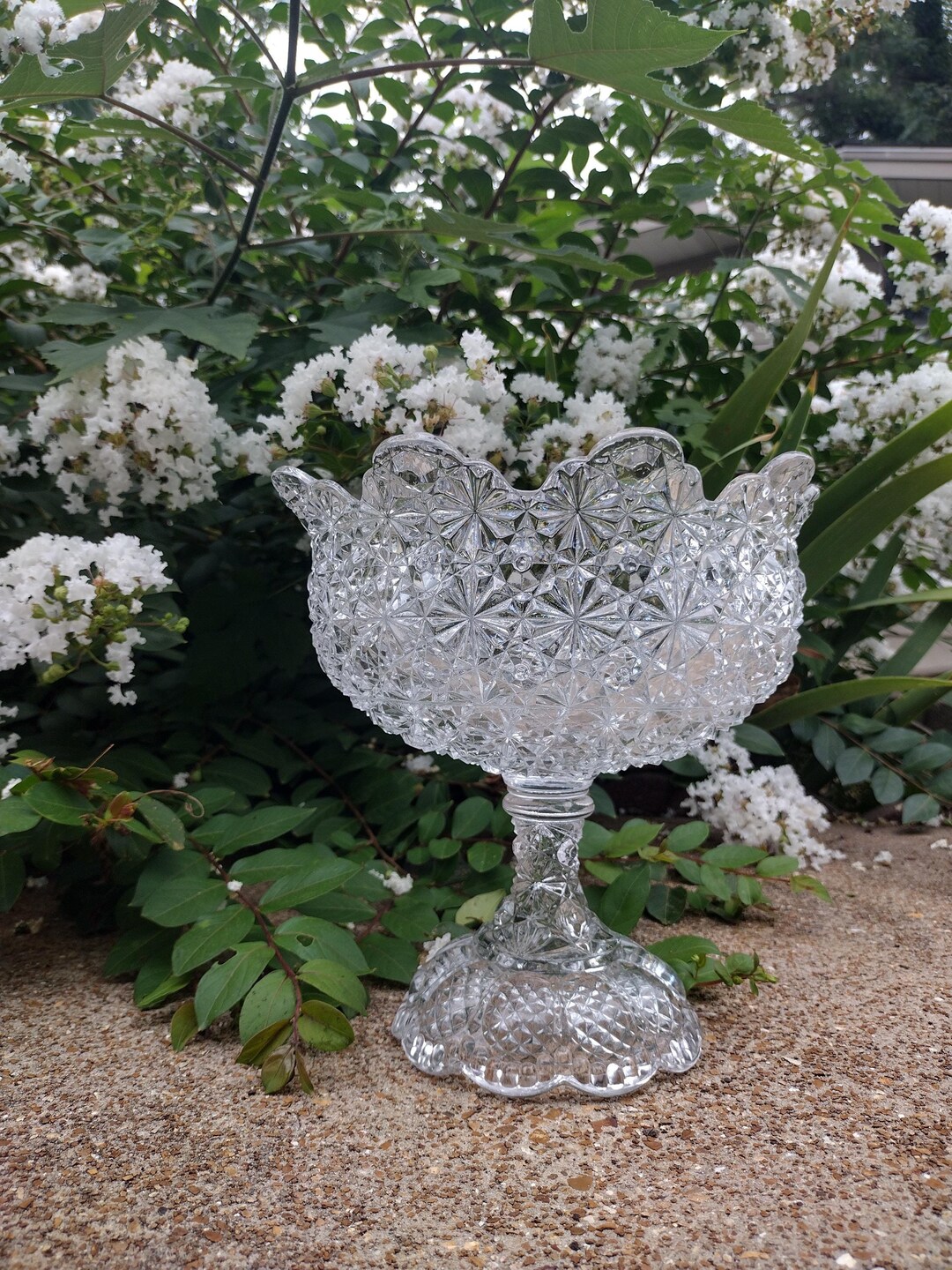 Bowl EAPG GILLINDER and SONS Daisy and Button Pattern Compote 19th ...