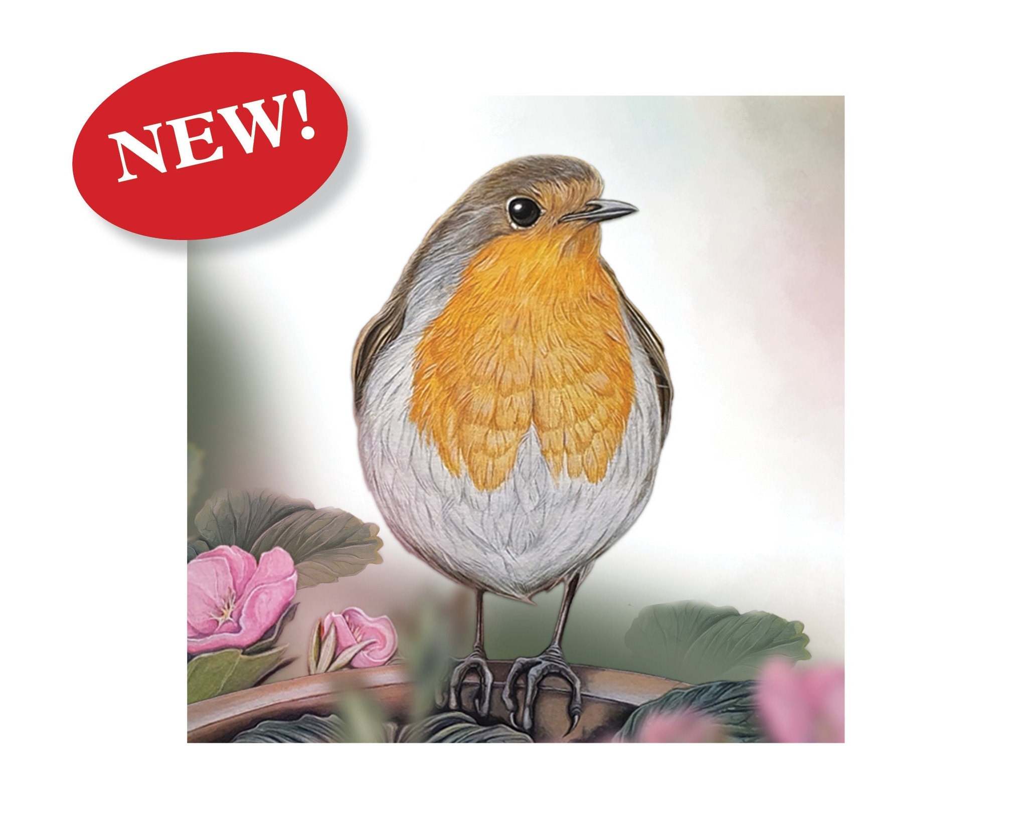 Robin Greetings Cards Pack of Two - Etsy Ireland