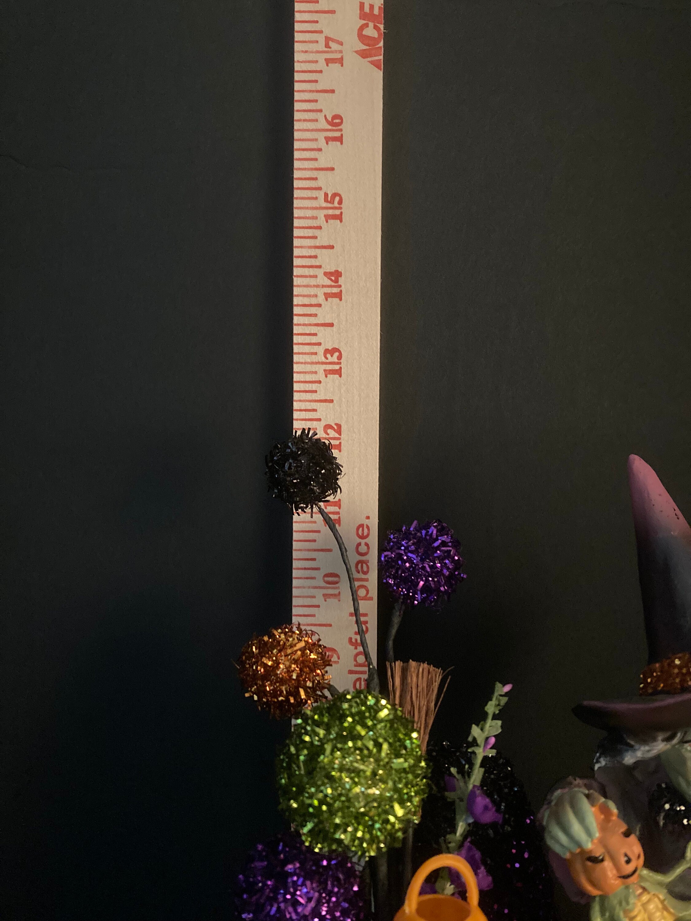 Halloween Assemblage Witch Eye of Newt - Etsy