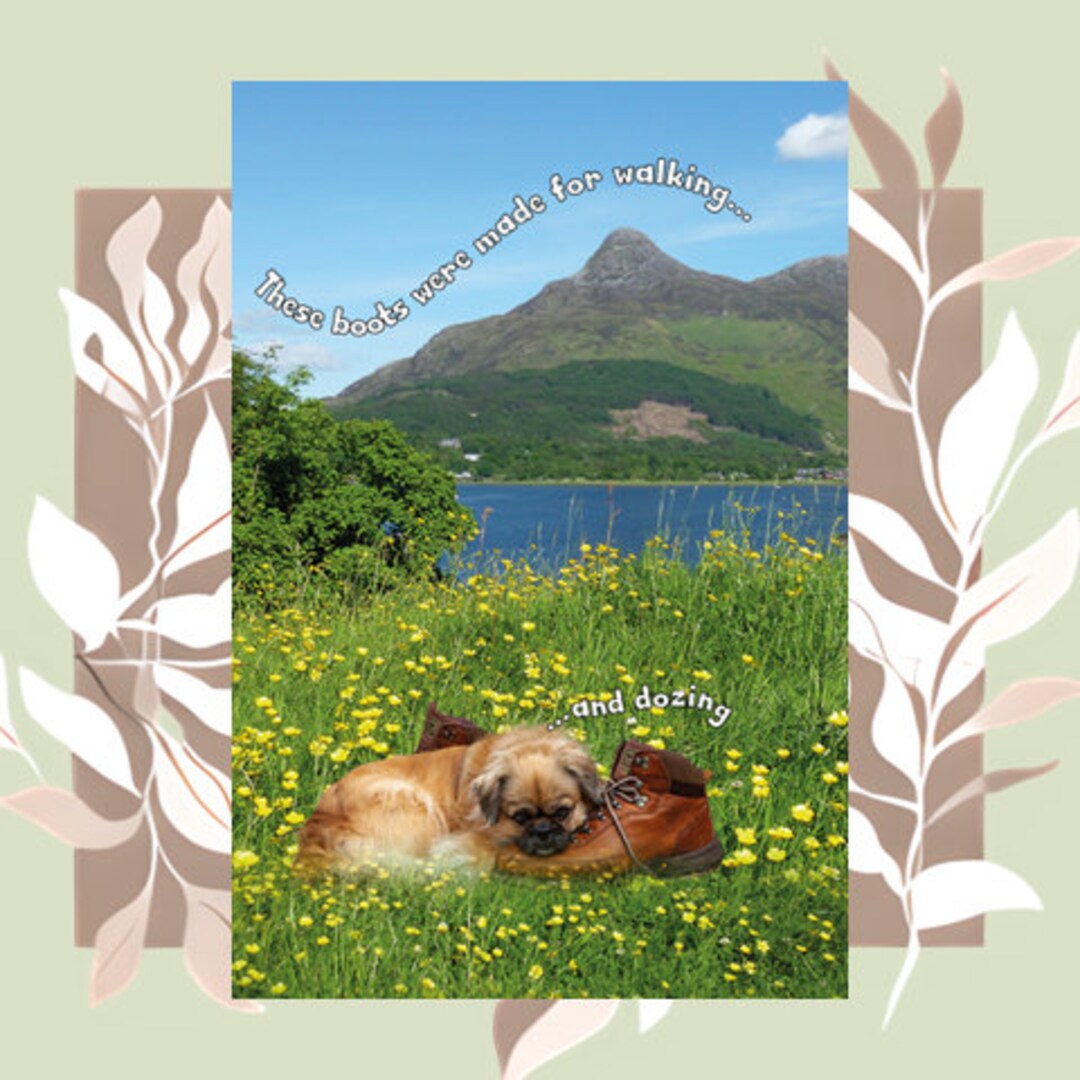 Hamish Boots. Printable Image Files, Joyful Wall Art Featuring a Dog ...