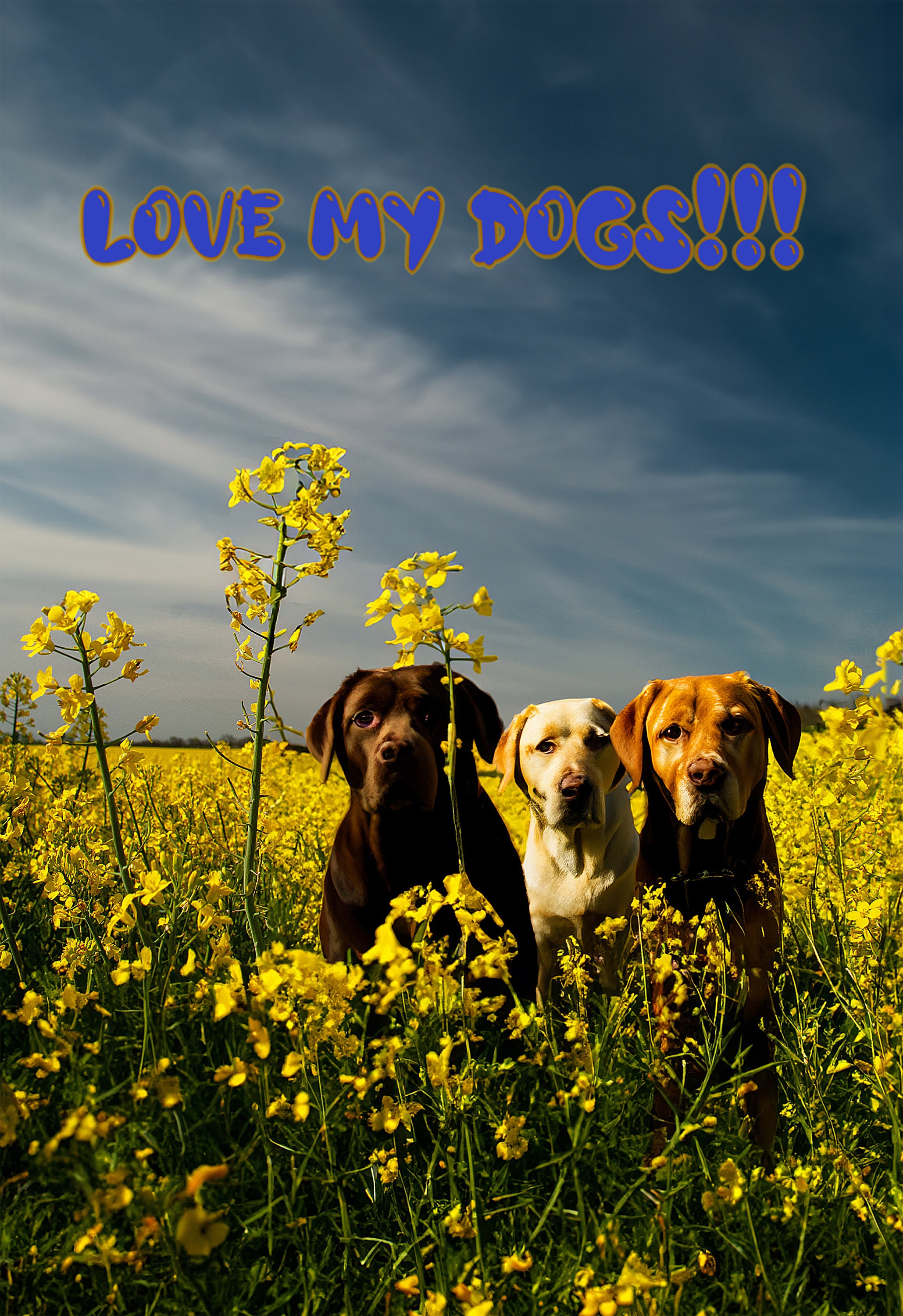 Three Labs - Love My Dogs. Printable Image Files, Joyful Wall Art ...