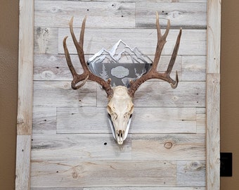 European Mount - Etsy