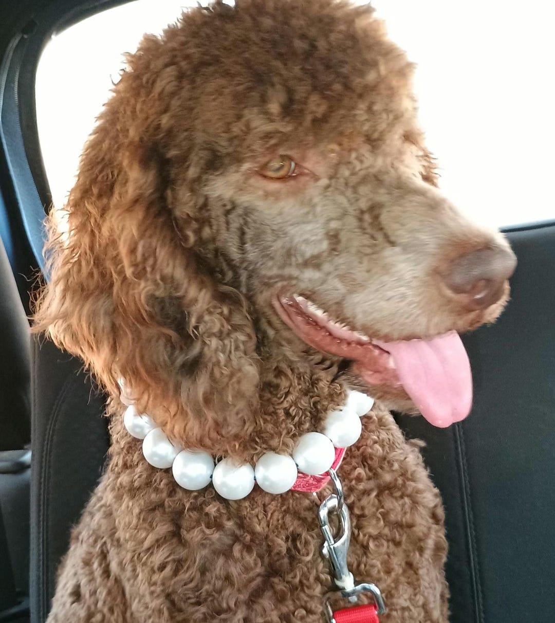 Custom Personalized Chunky Bead White Pearls Necklace With Big Bead Dog ...