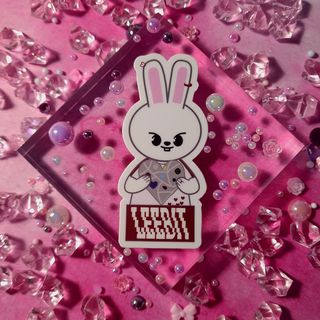 Stray Kids Leebit Maxident Skzoo Vinyl Matte Sticker - Etsy