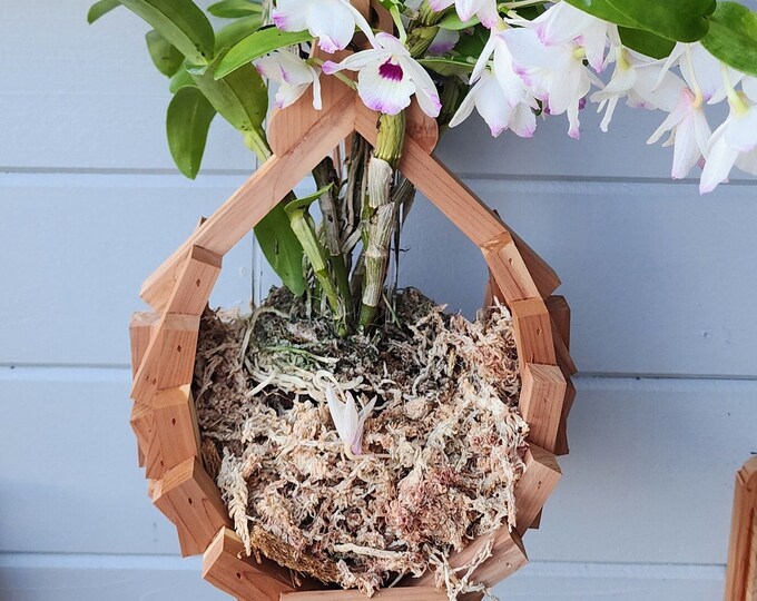 Handcrafted Wooden Orchid Basket With Hook: Rustic Plant Hanger - Etsy
