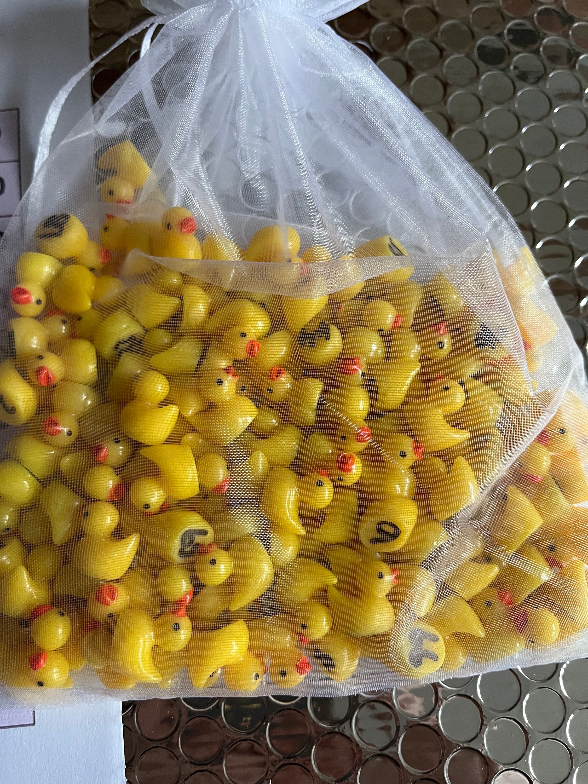 Hide the Duck, Hunt the Ducks Game. Excellent Gift / Prank - Etsy UK