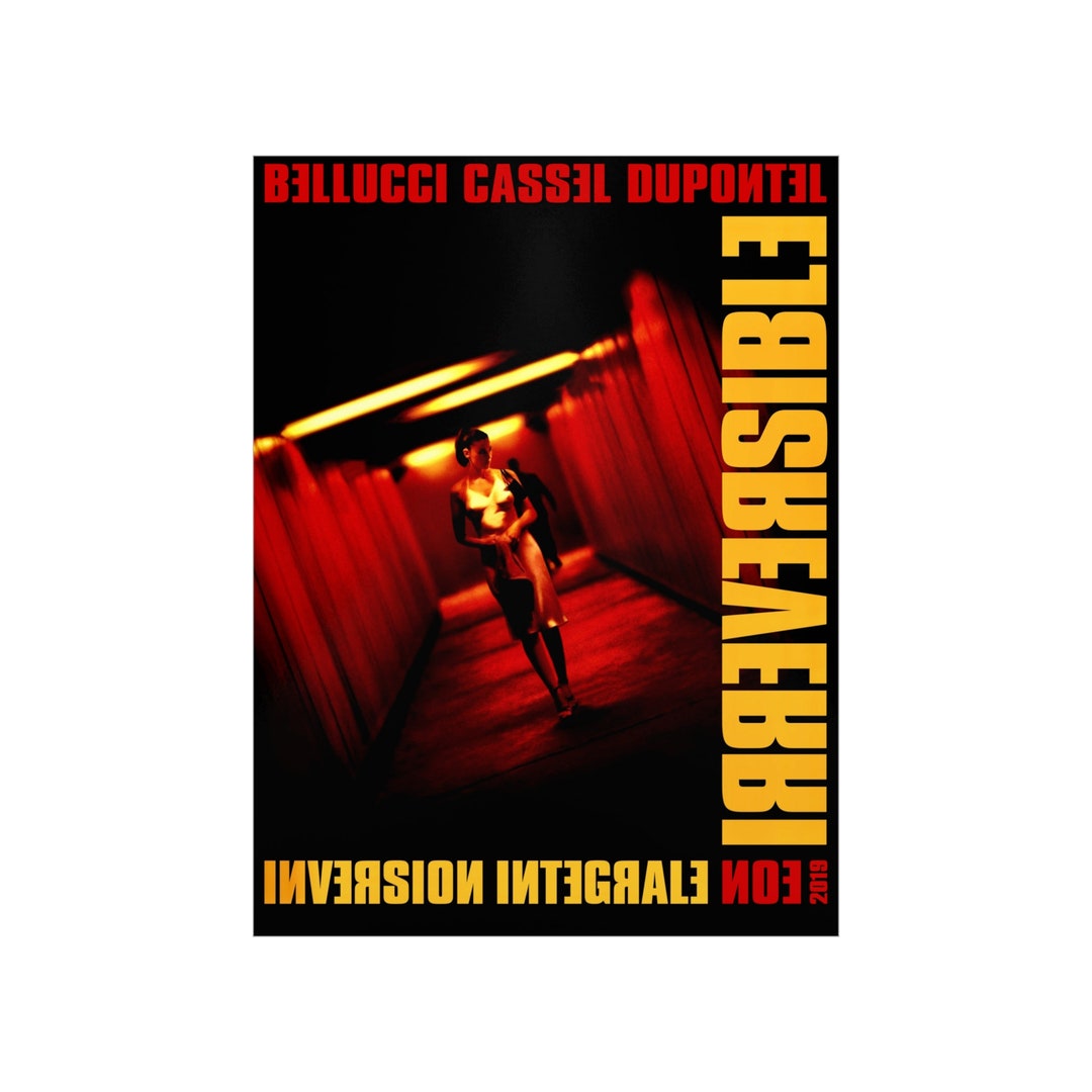 Gaspar Noe: Irreversible (18x24) - Vintage Horror Movie Poster - Etsy