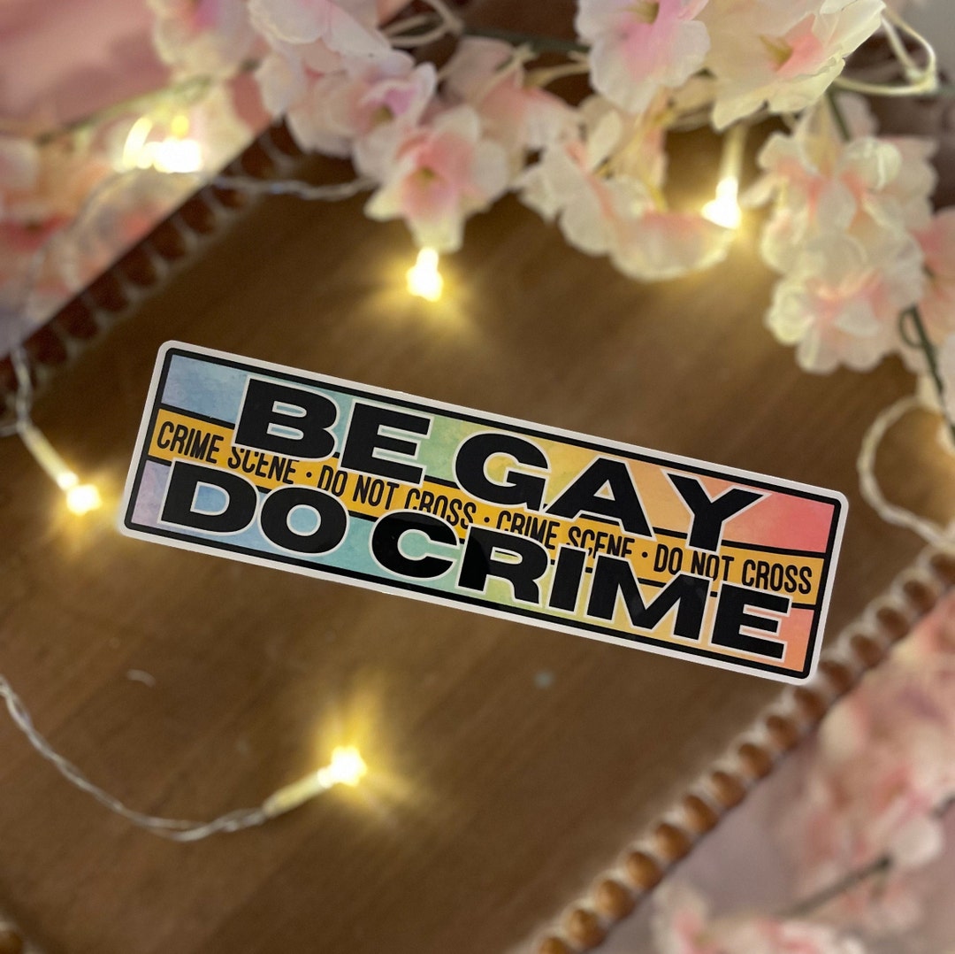 Aggressive Pride Stickers Funny Decal LGBTQIA2 - Etsy