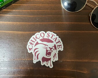 California State University, Chico 10 Pack Collegiate Vinyl Decal ...