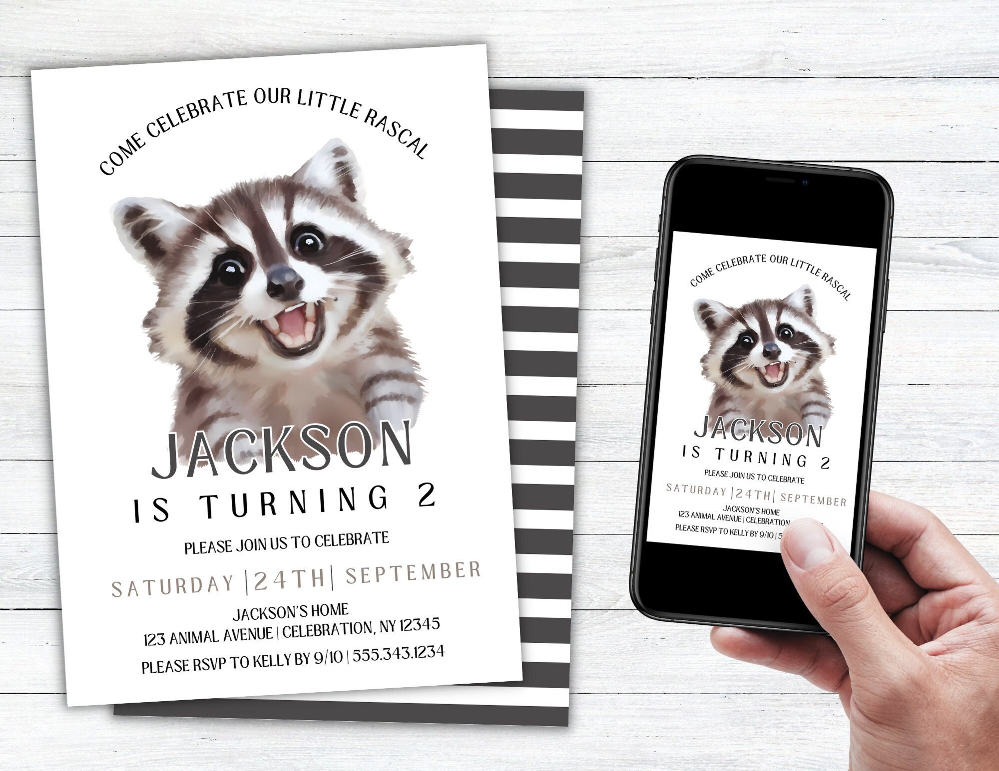 Infographic Tutorials By A Raccoon