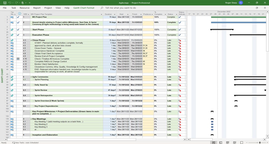 Project Templates Gantt Charts PRINCE2 Agile Scrum MS - Etsy Canada