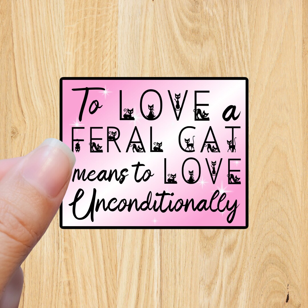 3 to Adopt Love a Feral Cat Means to Love - Etsy