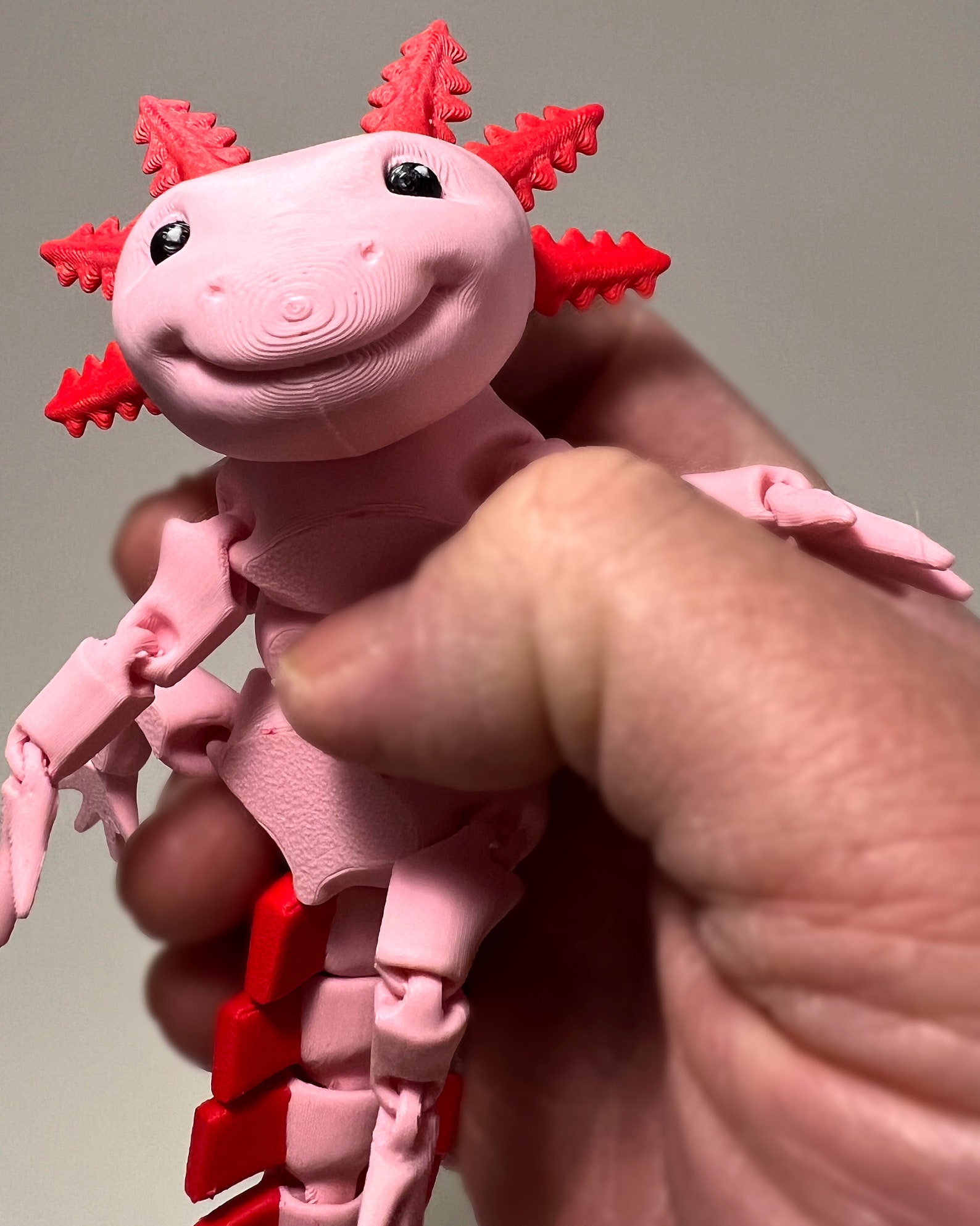 Axolotl Adorable Articulated 3D Printed Flexi Fidget Toy - Etsy