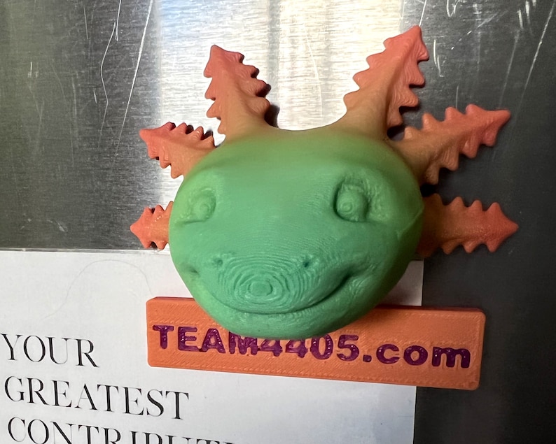 Axolotl Personalized Magnet 3D Printed Design by Matmire Makes - Etsy ...