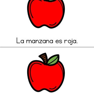 10 Libros Decodificables De Los Colores NIVEL DE LECTURA A (reading ...