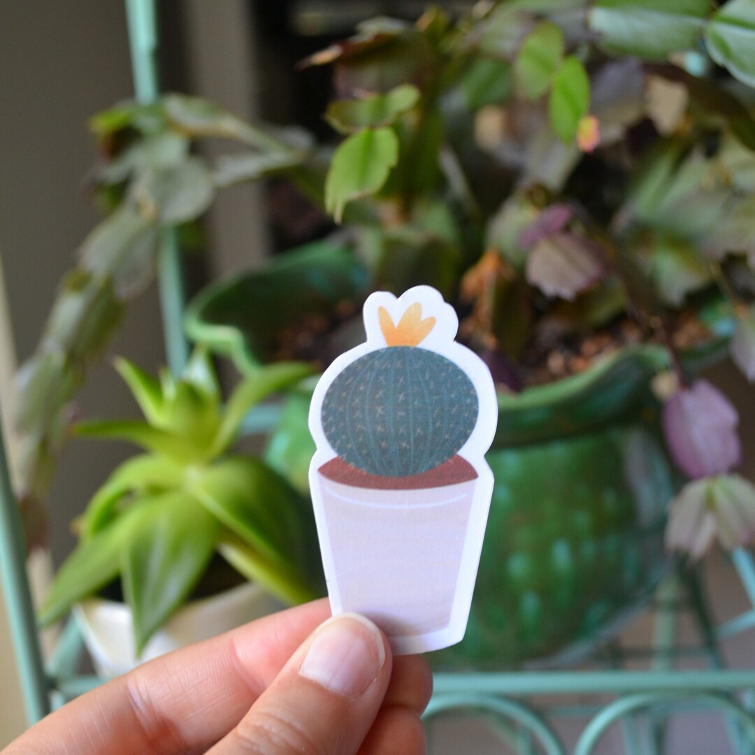 Cactus Sticker, Succulent Sticker, Water Bottle Sticker, Laptop Sticker ...