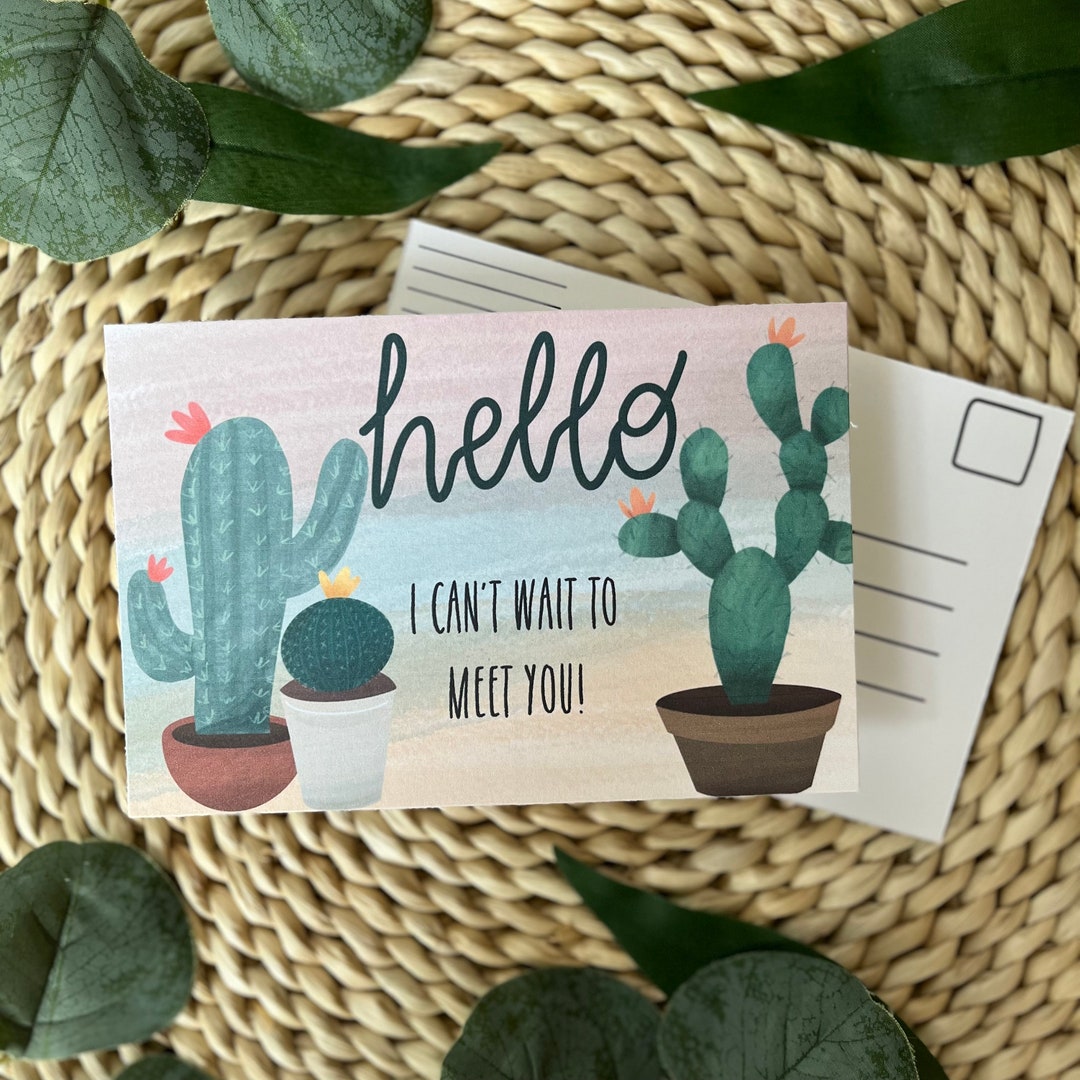 Cactus Postcards, Teacher Postcards, Set of Postcards, Cactus ...