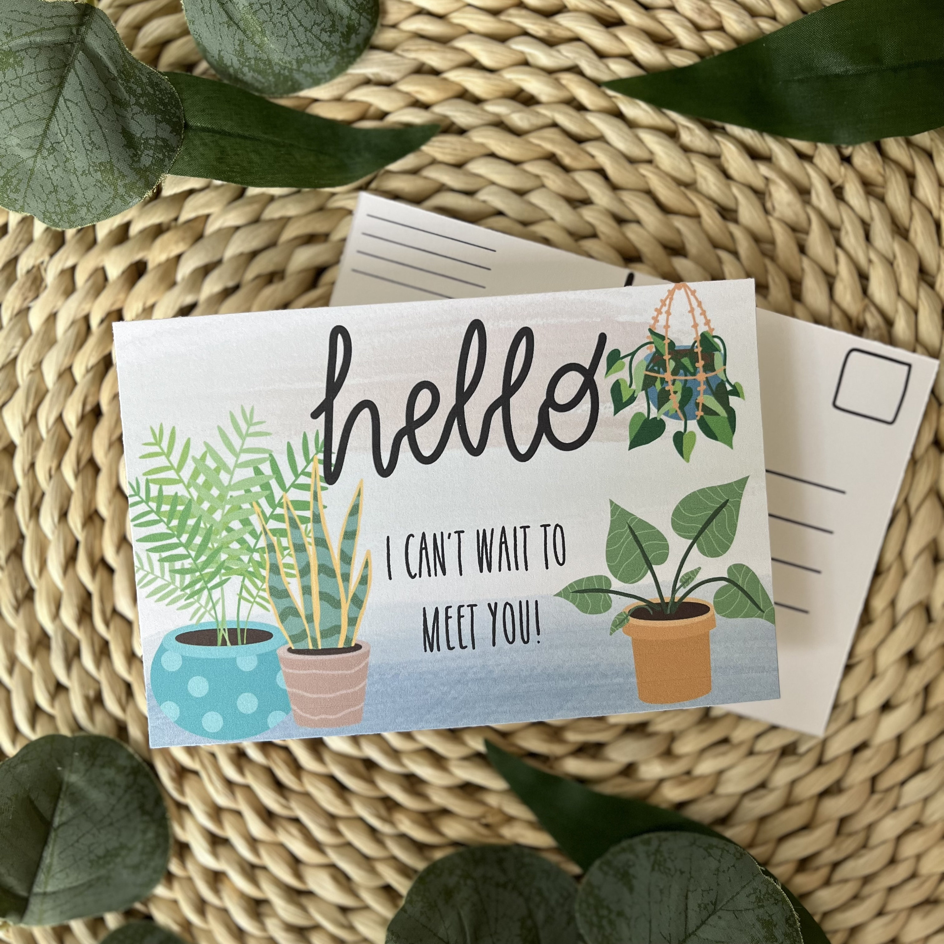 Potted Plants Postcards Teacher Postcards Set of Postcards - Etsy