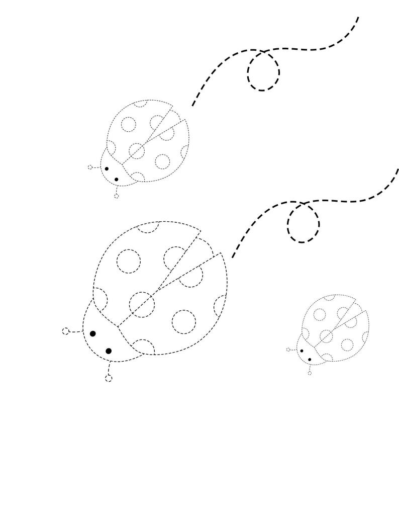 Insect Tracing Pages – Editable Printable Bug Worksheets for Toddlers ...