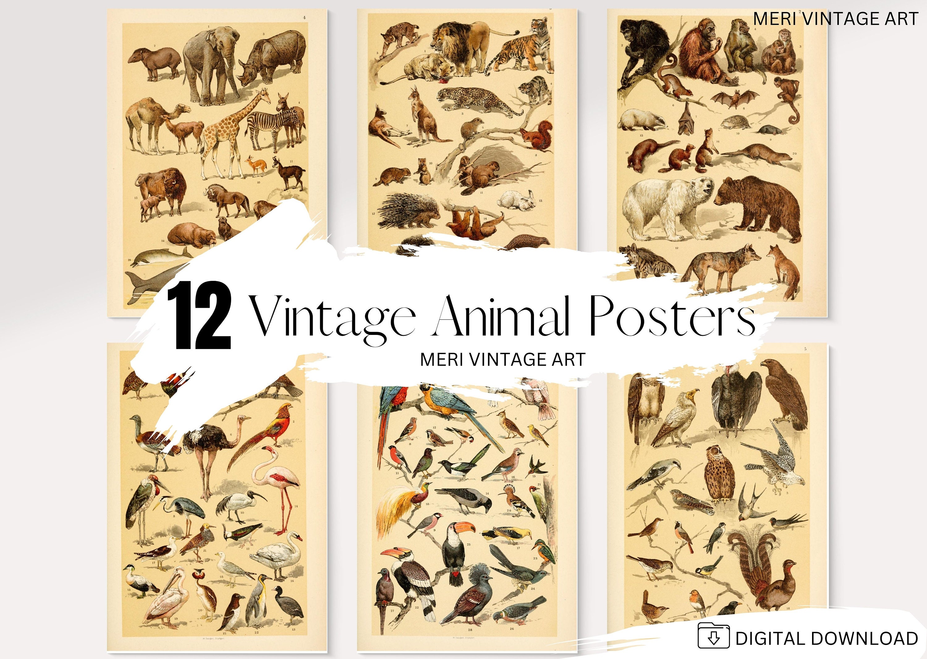 Vintage Animal Poster,12 Chart, Poster,illustrations,atlas,larousse ...