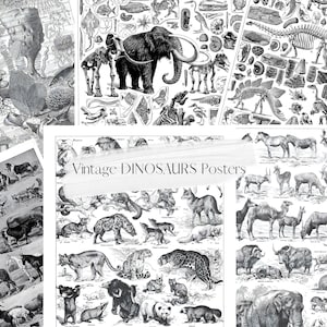 Adolphe Millot BUNDLE,75 Posters and Illustrations,adolphe Millot ...