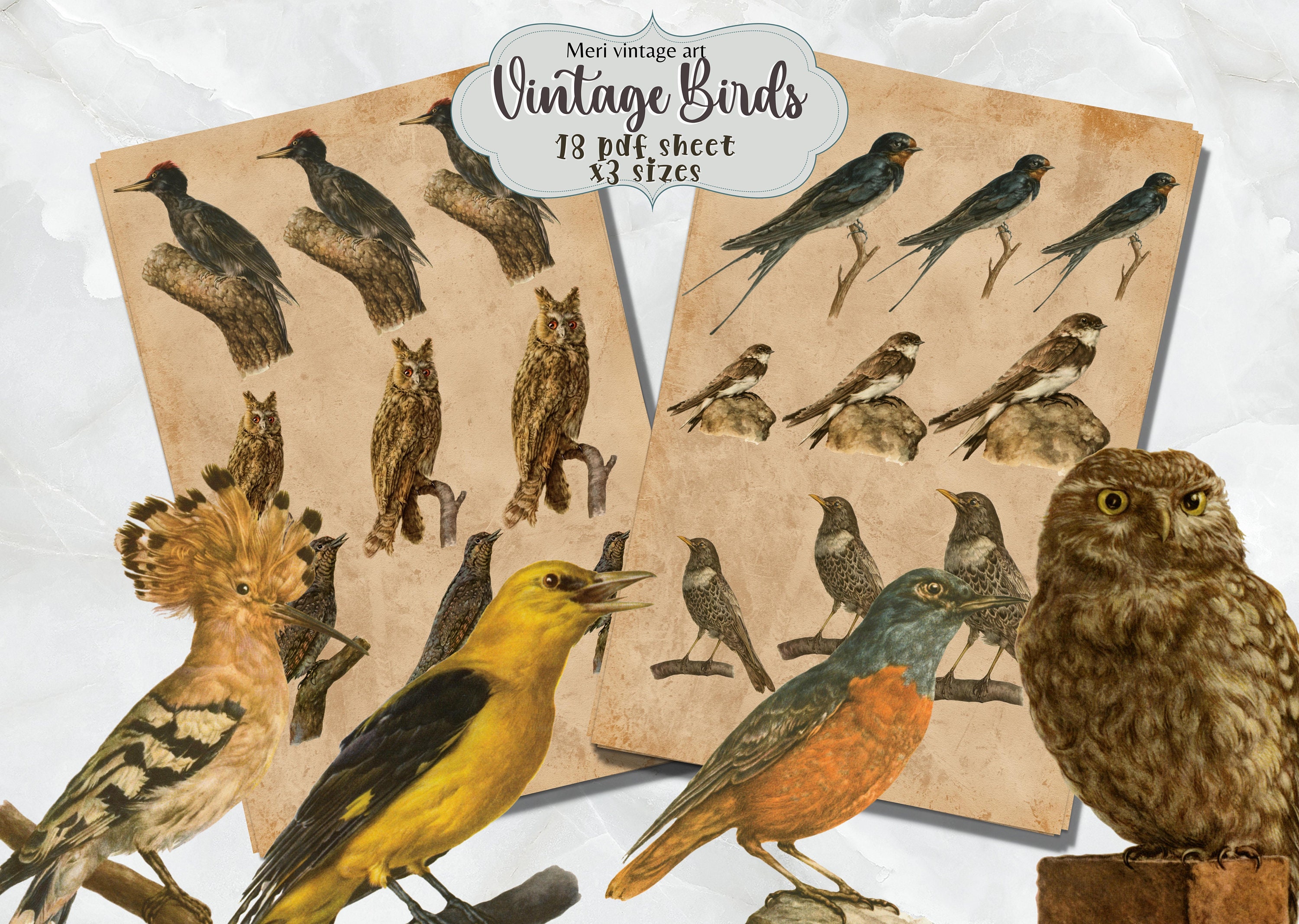 Vintage Birds Mega Pack 55 Fussy Cut, Junk Journal Kit,bird, Owls ...
