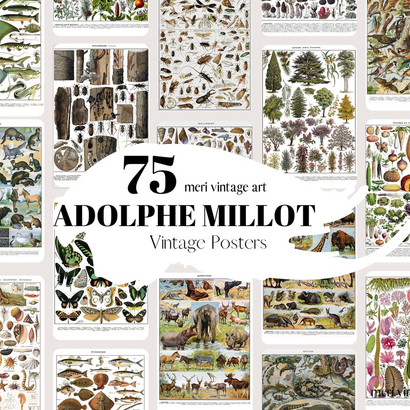 Vintage Food Poster Set - Etsy