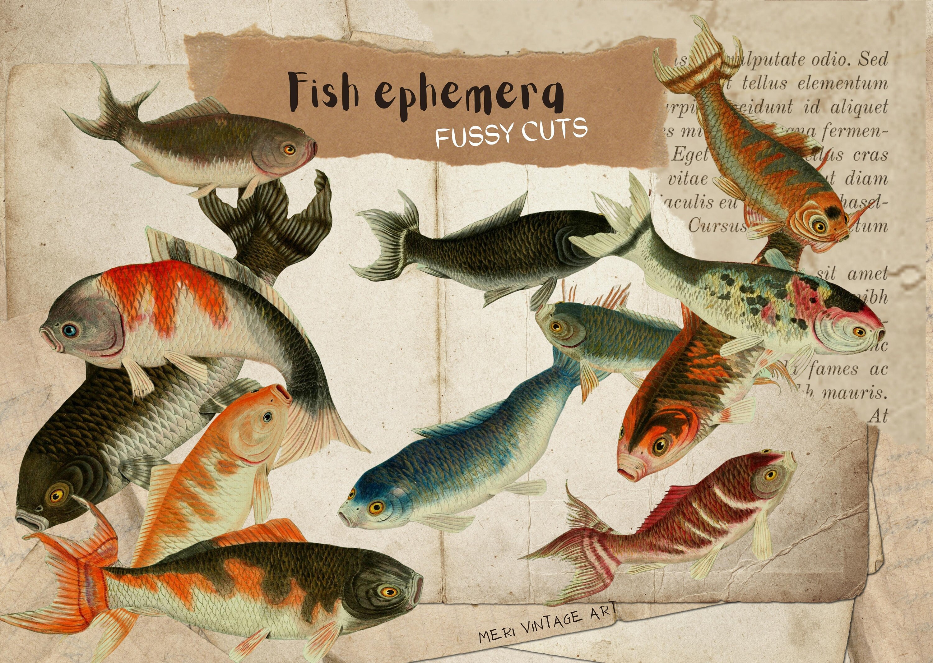 Printable Fish Fussy Cut77 Pc Junk - Etsy