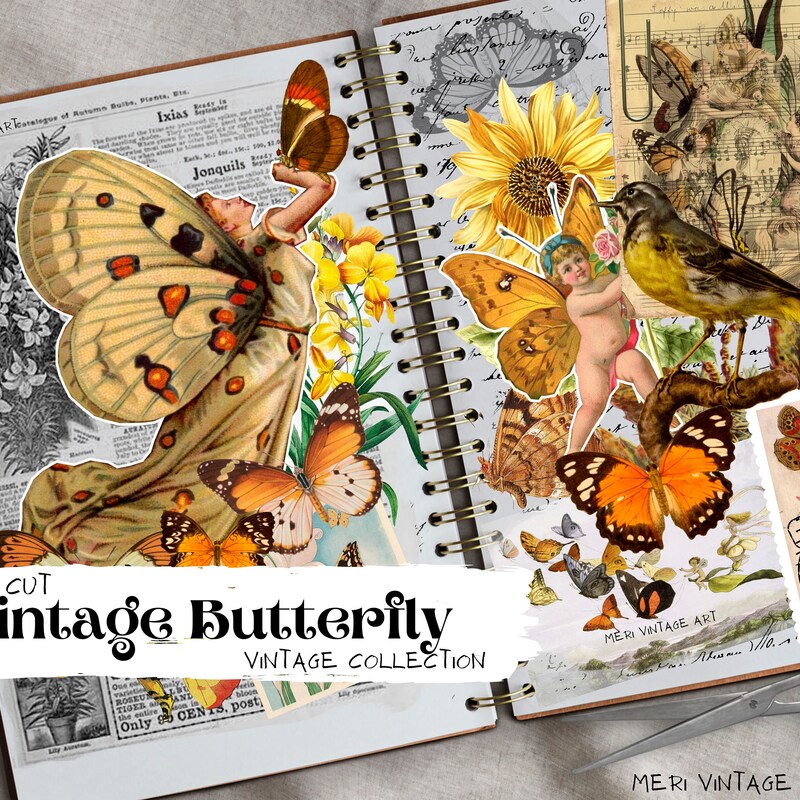 Butterfly Ephemera - Etsy