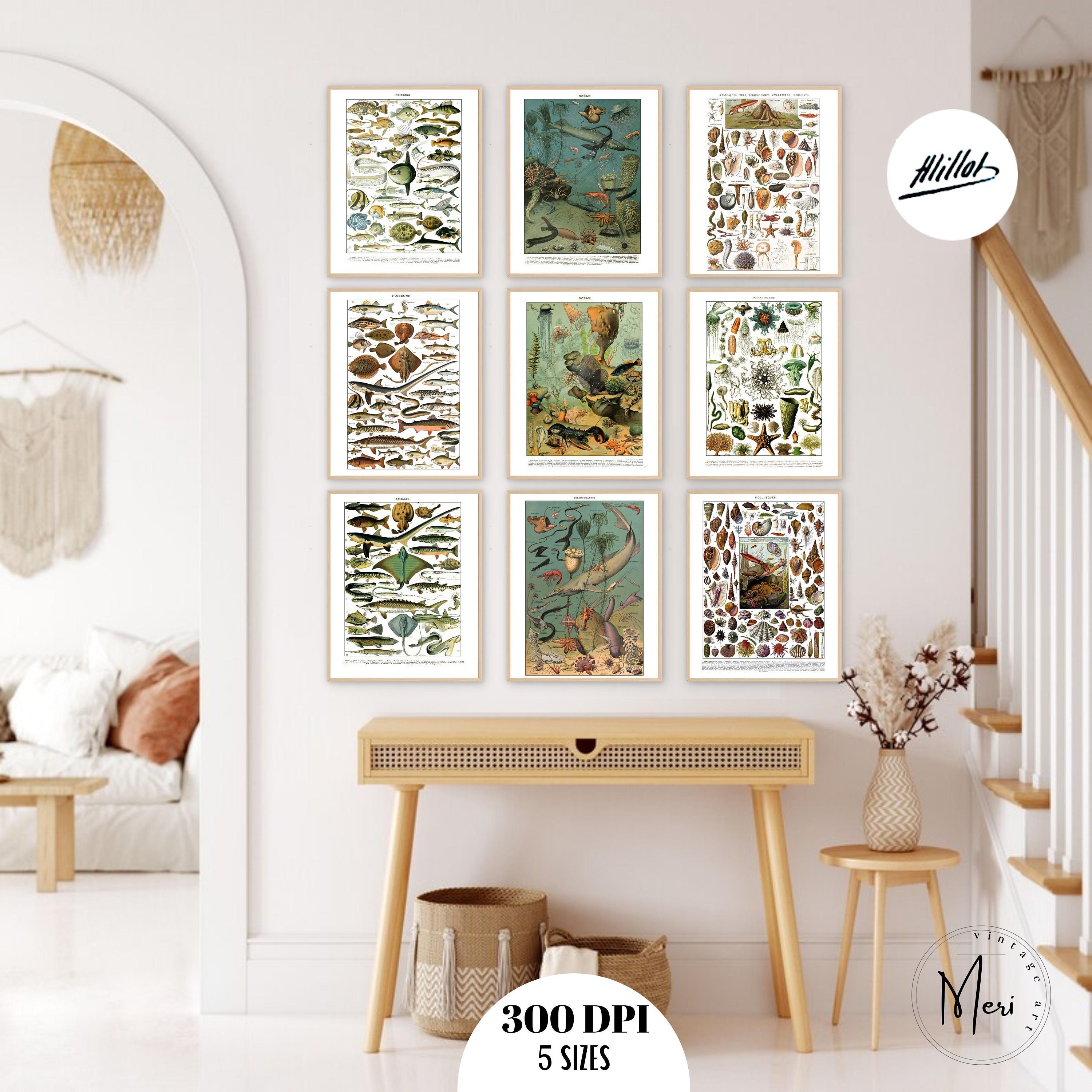 Sea Life Set Of 9 Posters Adolphe Millot Vintage French Lithography