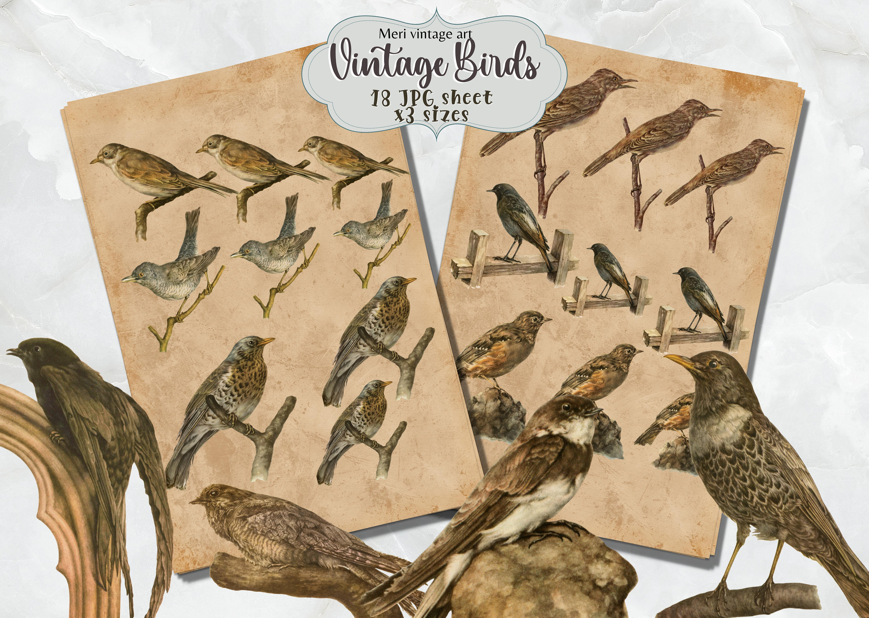 Vintage Birds Mega Pack 55 Fussy Cut, Junk Journal Kit,bird, Owls ...
